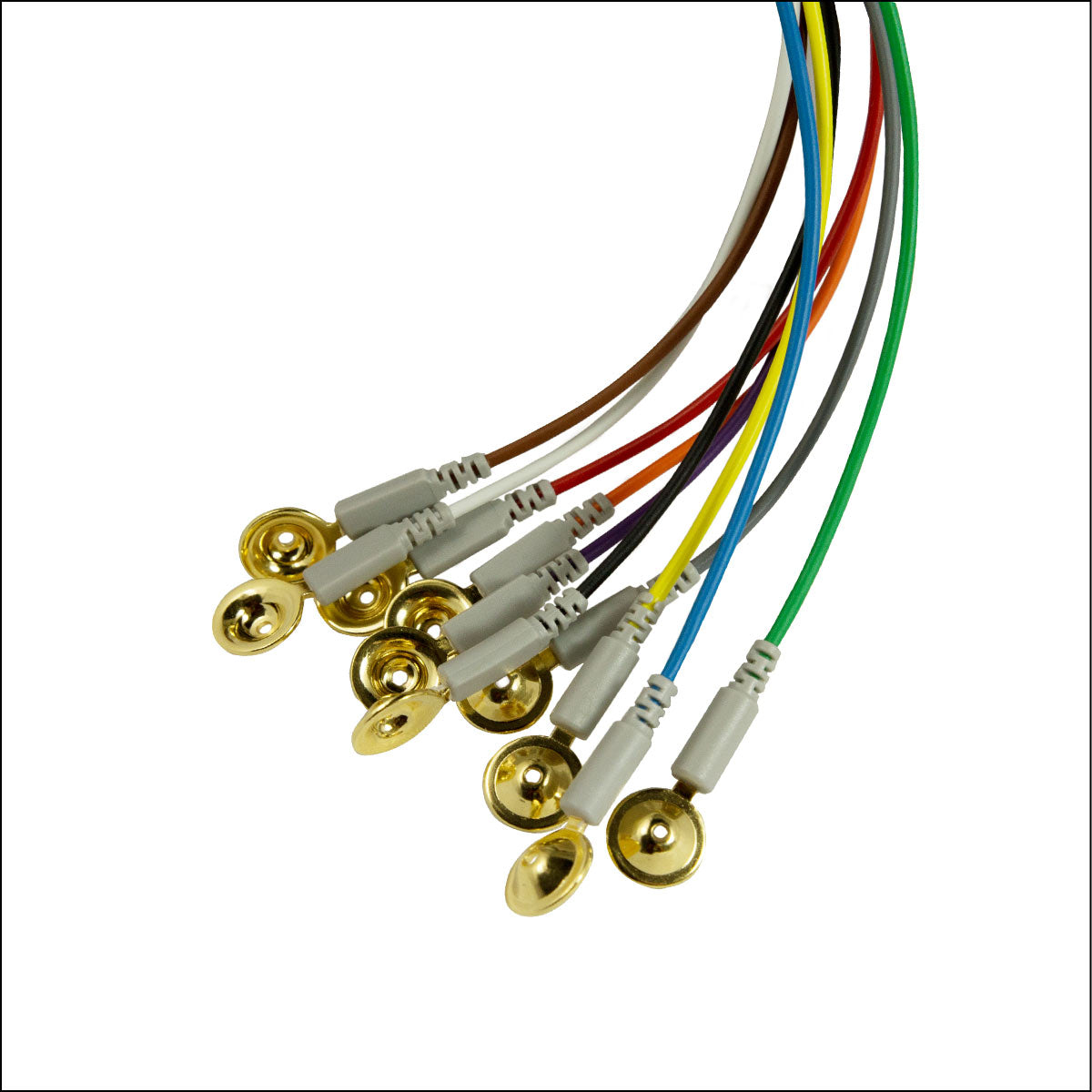 Gold Cup Electrodes for EEG Applications - CNSAC